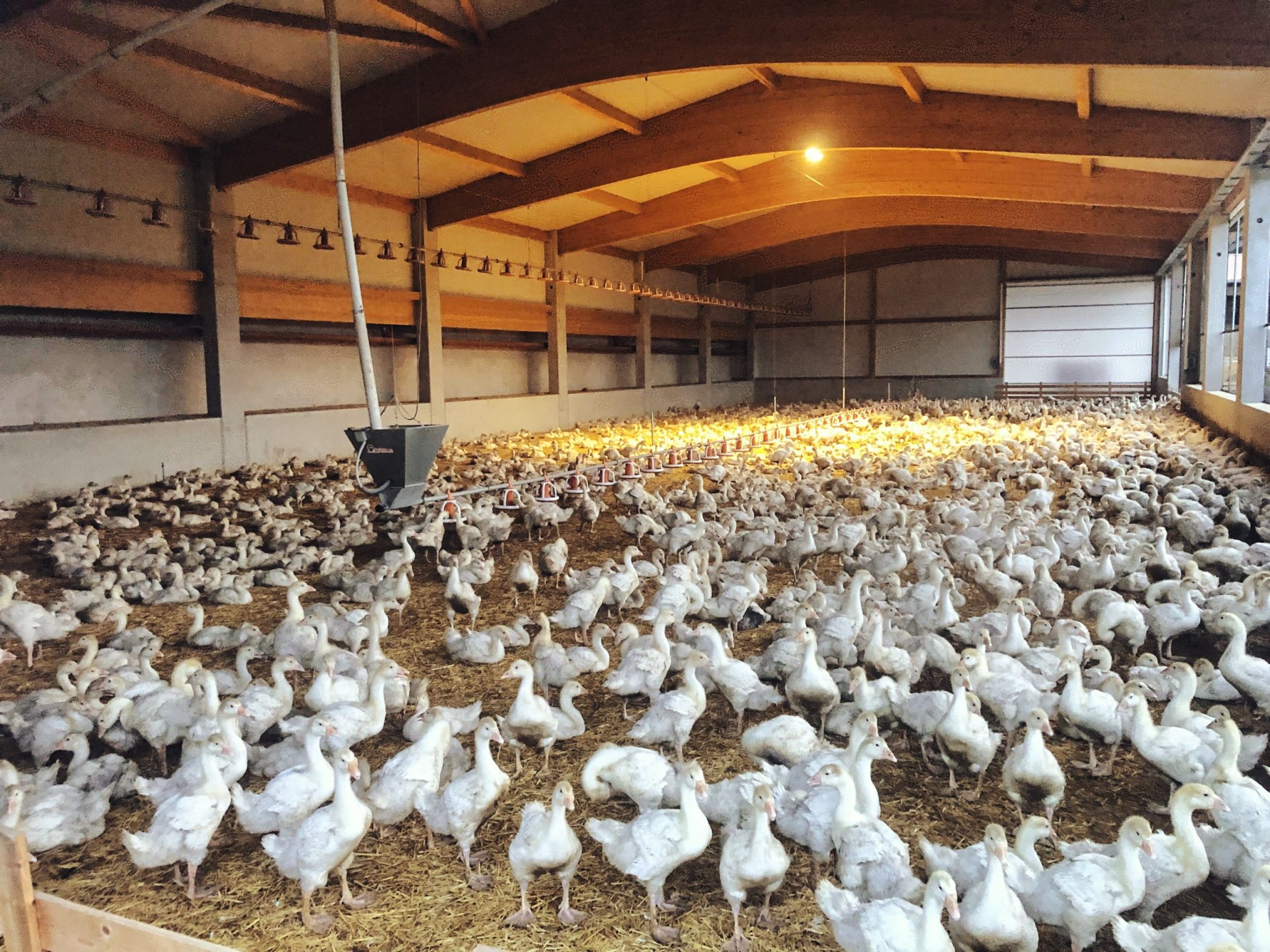 Produkte – Geflügelhof Haberzeth